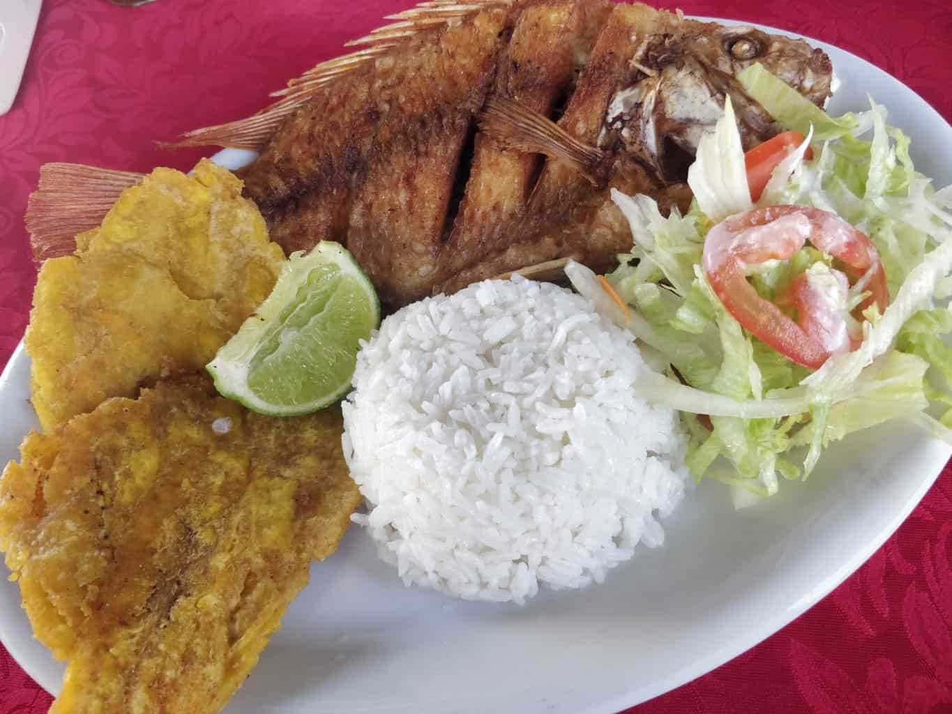 Receita de Patacones colombianos - Viajando com a Mala Rosa